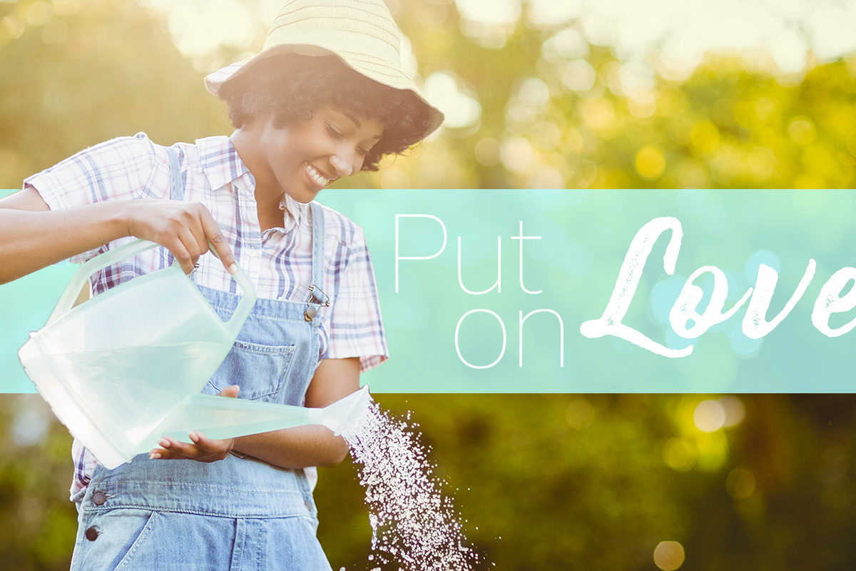 Equip - LoisEvans.org