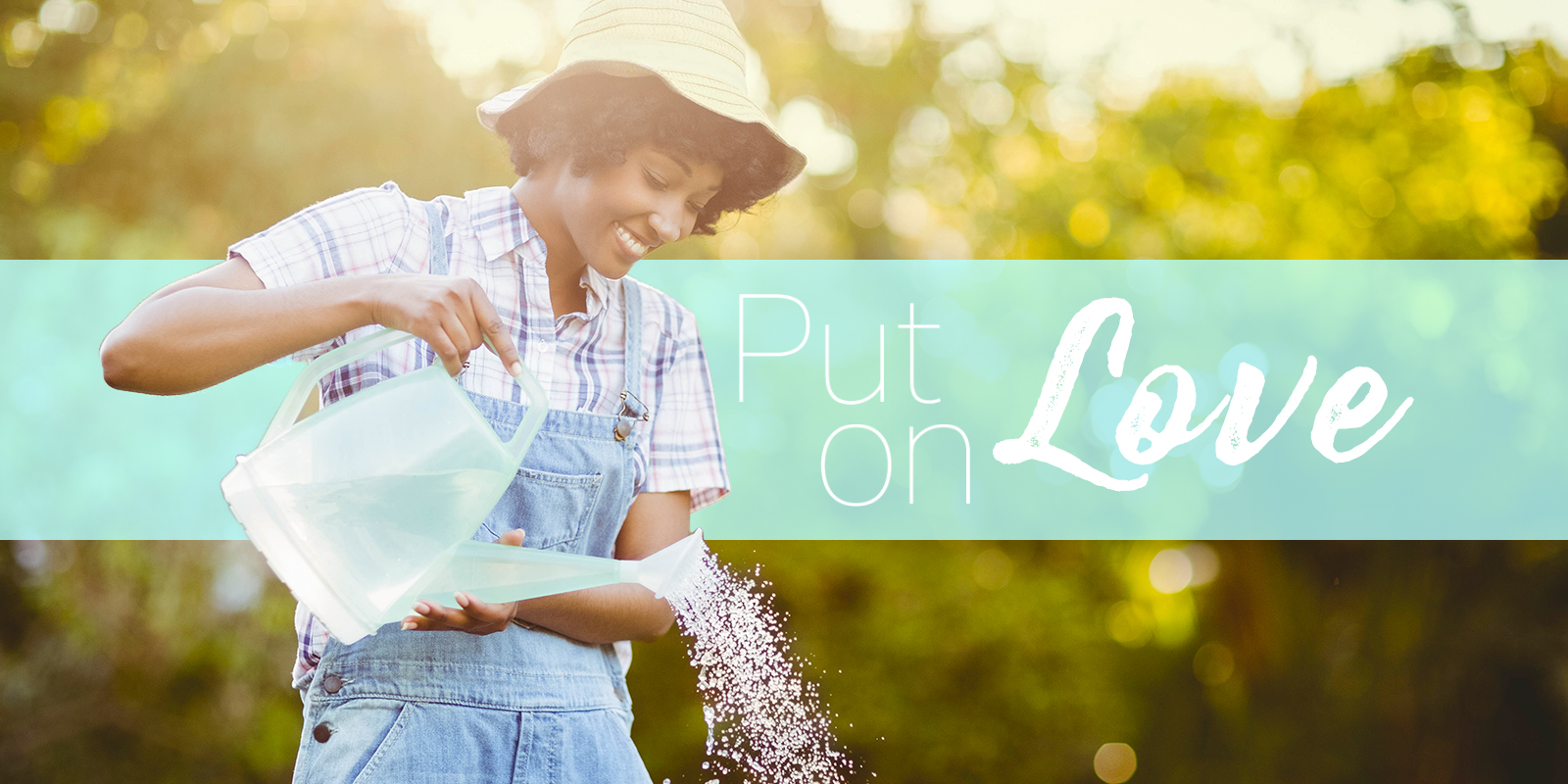 Put on Love - LoisEvans.org